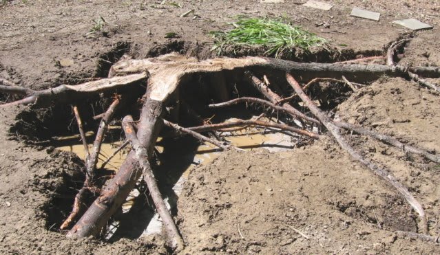 Landscaping - Dengarden