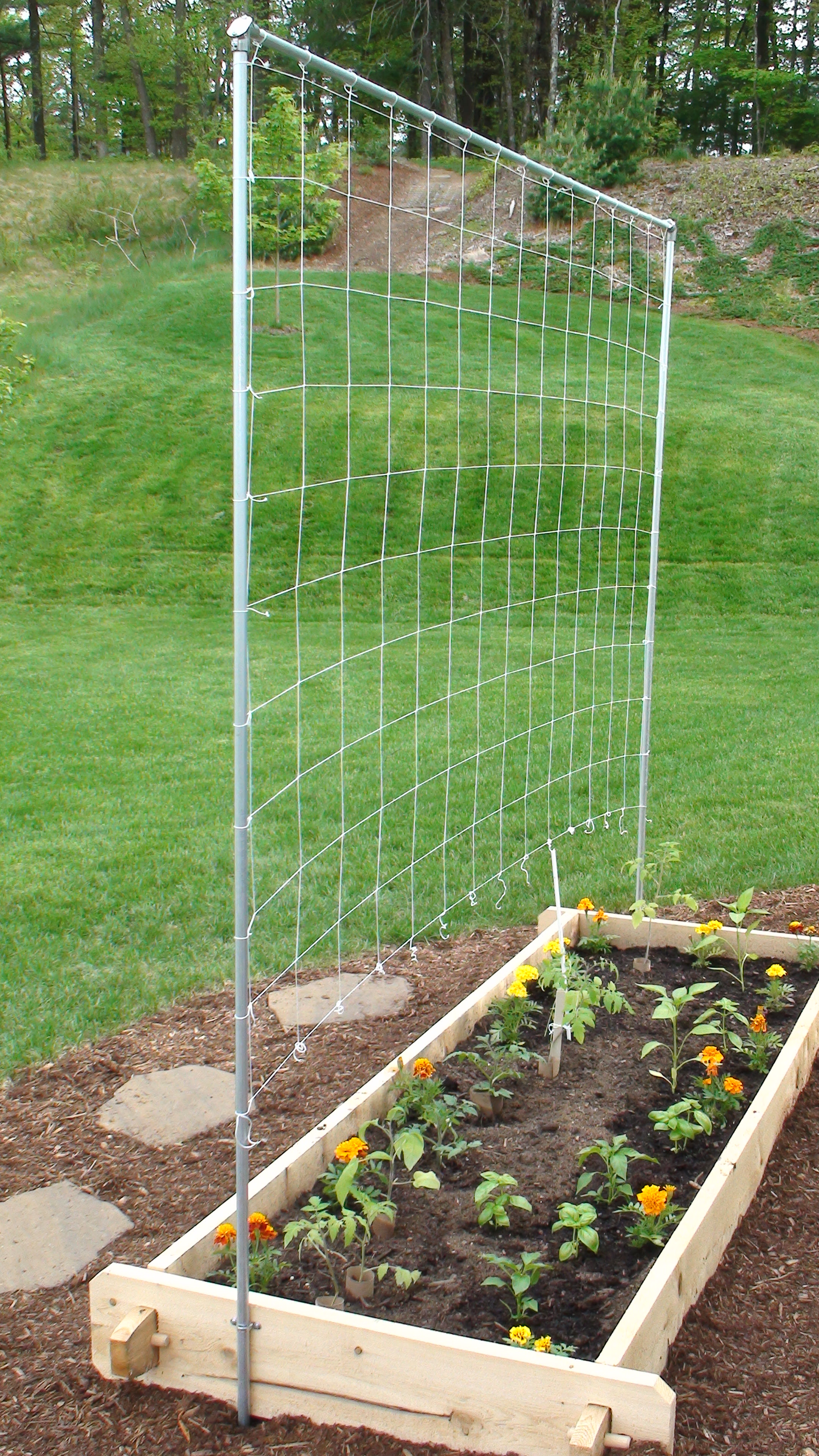 How to Build a Simple Trellis for a Tomato and Vegetable Garden - Dengarden
