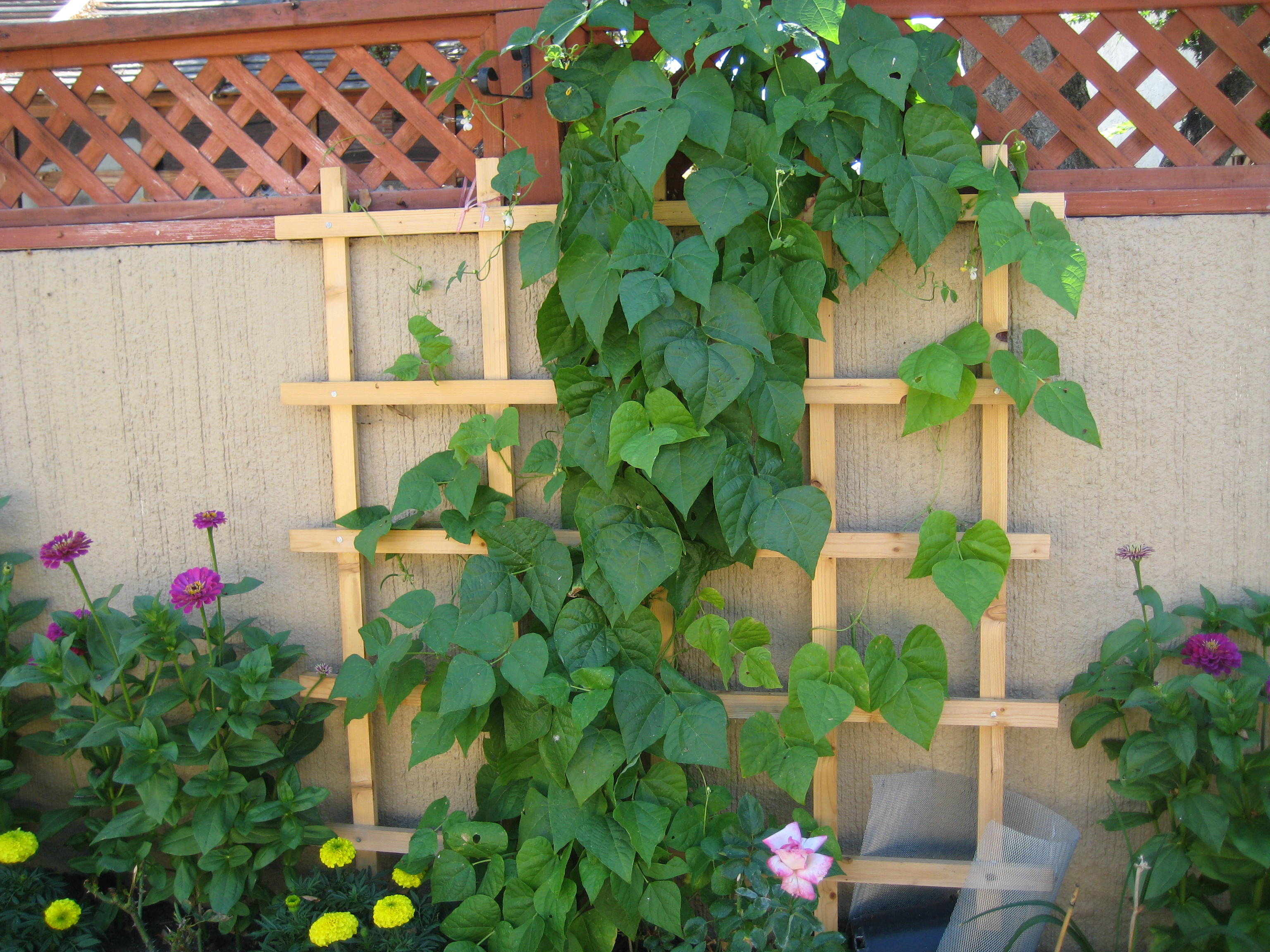 Easy Vertical Gardening Ideas for Beginners - Dengarden
