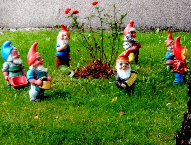 The History of the Garden Gnome - Dengarden