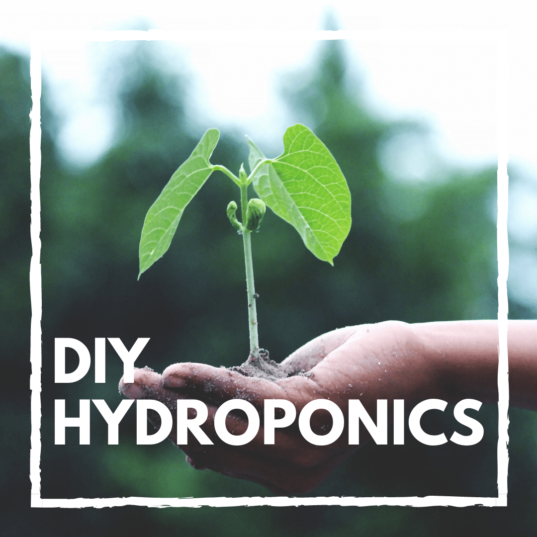 Hydroponic Tubs: A Build-It-Yourself Guide - Dengarden