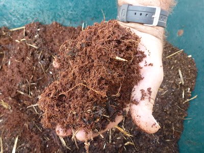 How to Grow a Spaghetti-Sauce Themed Garden - Dengarden