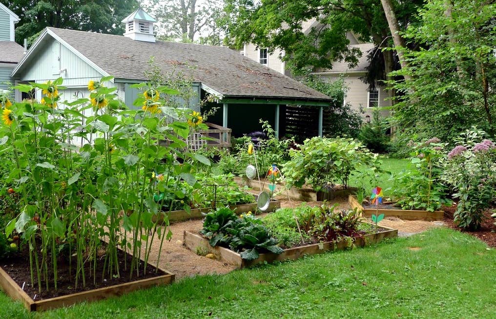 How to Build a Raised Garden Bed: Cheap Prefab Kits & DIY Plans - Dengarden