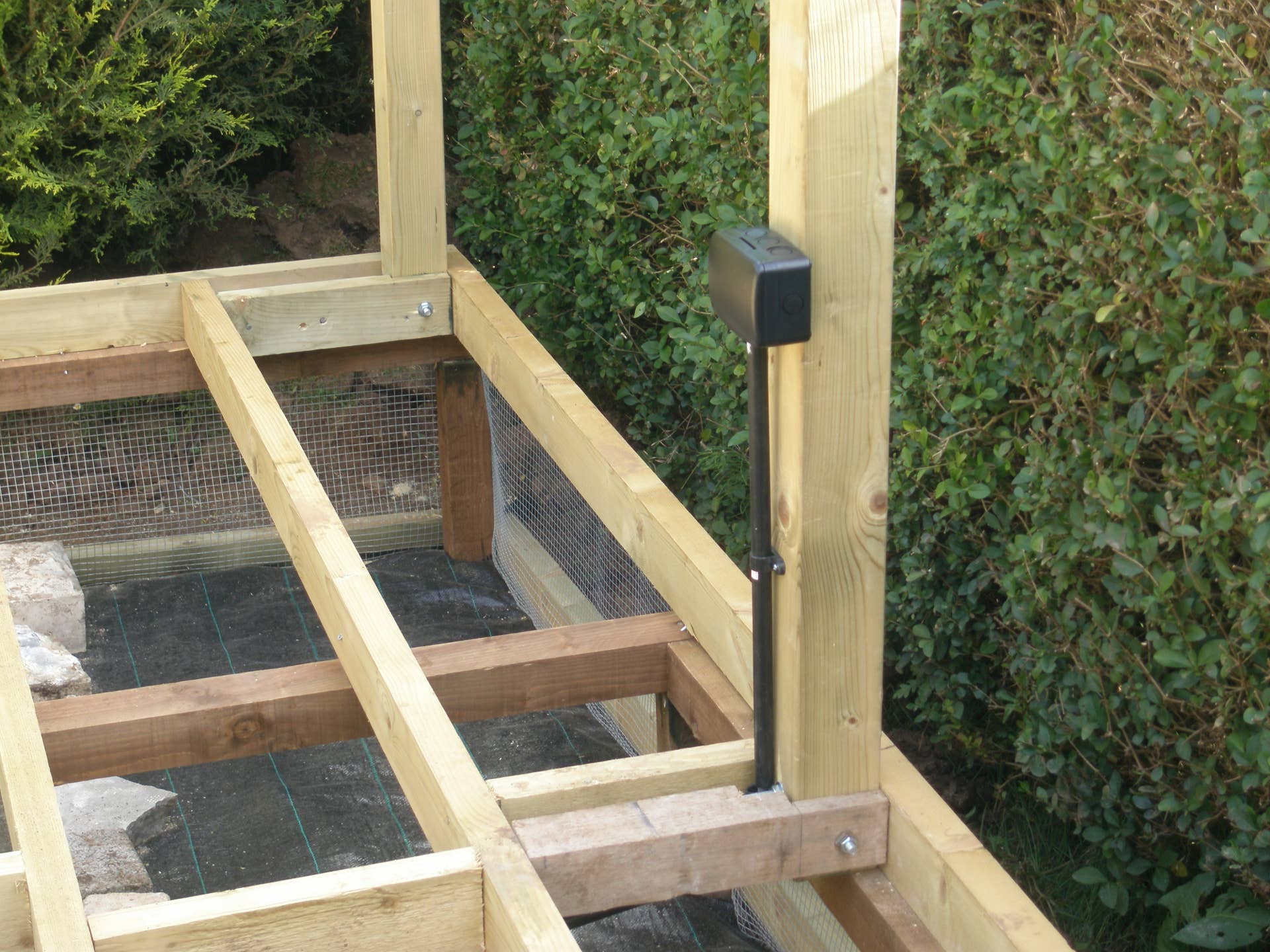 How Get Rid of Rats Under a Deck - Dengarden