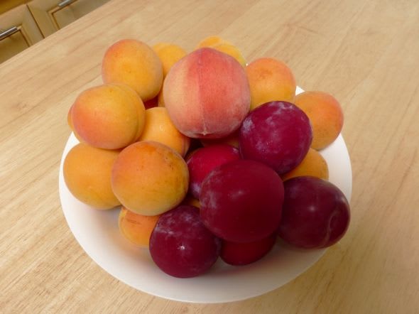 How to Grow 4 Types of Fruit on the Same Tree - Dengarden