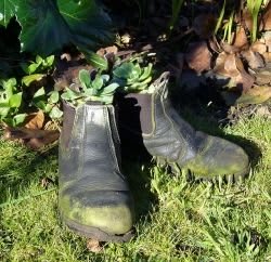 DIY Gardening: How to Make a Boot Planter - Dengarden