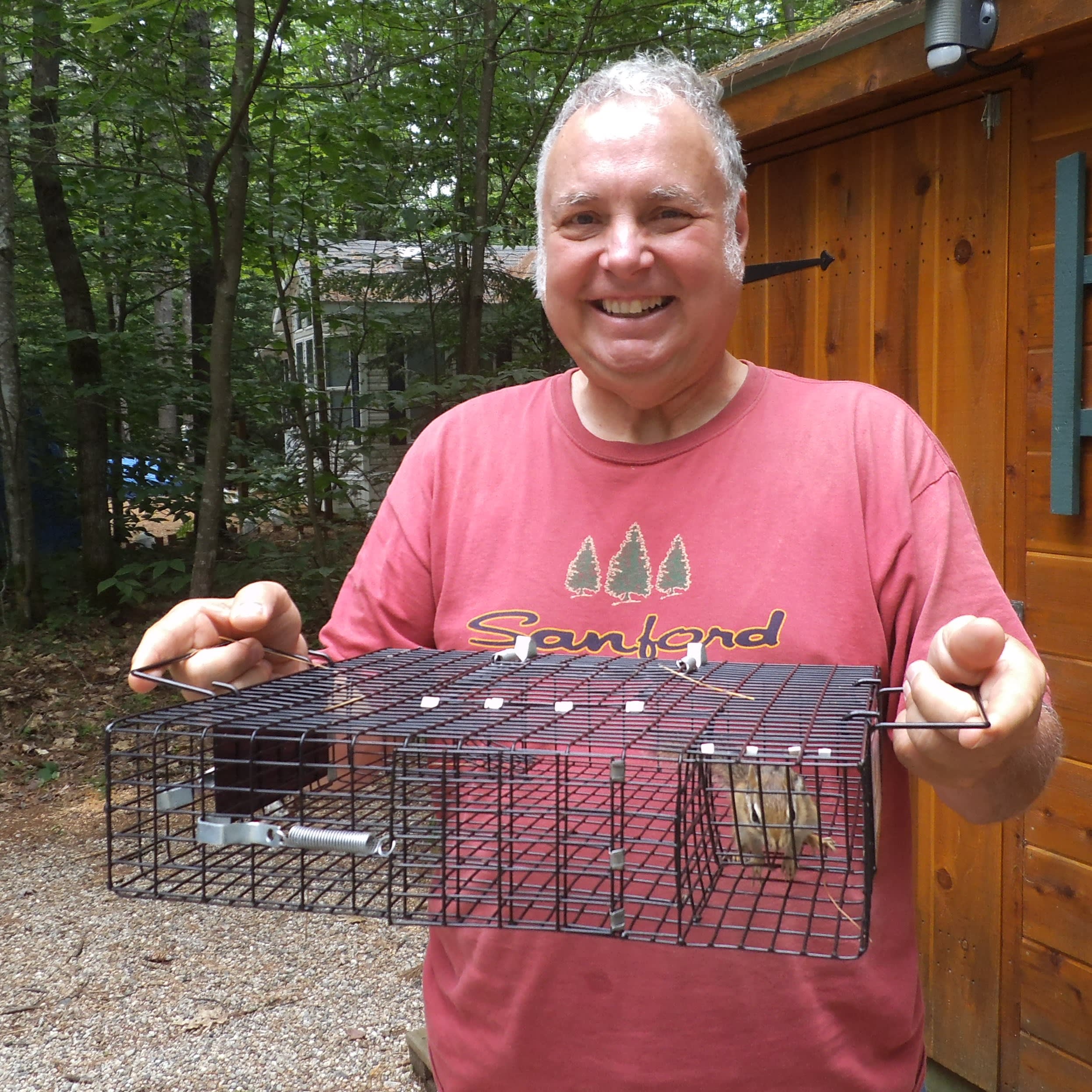 Live chipmunk traps store