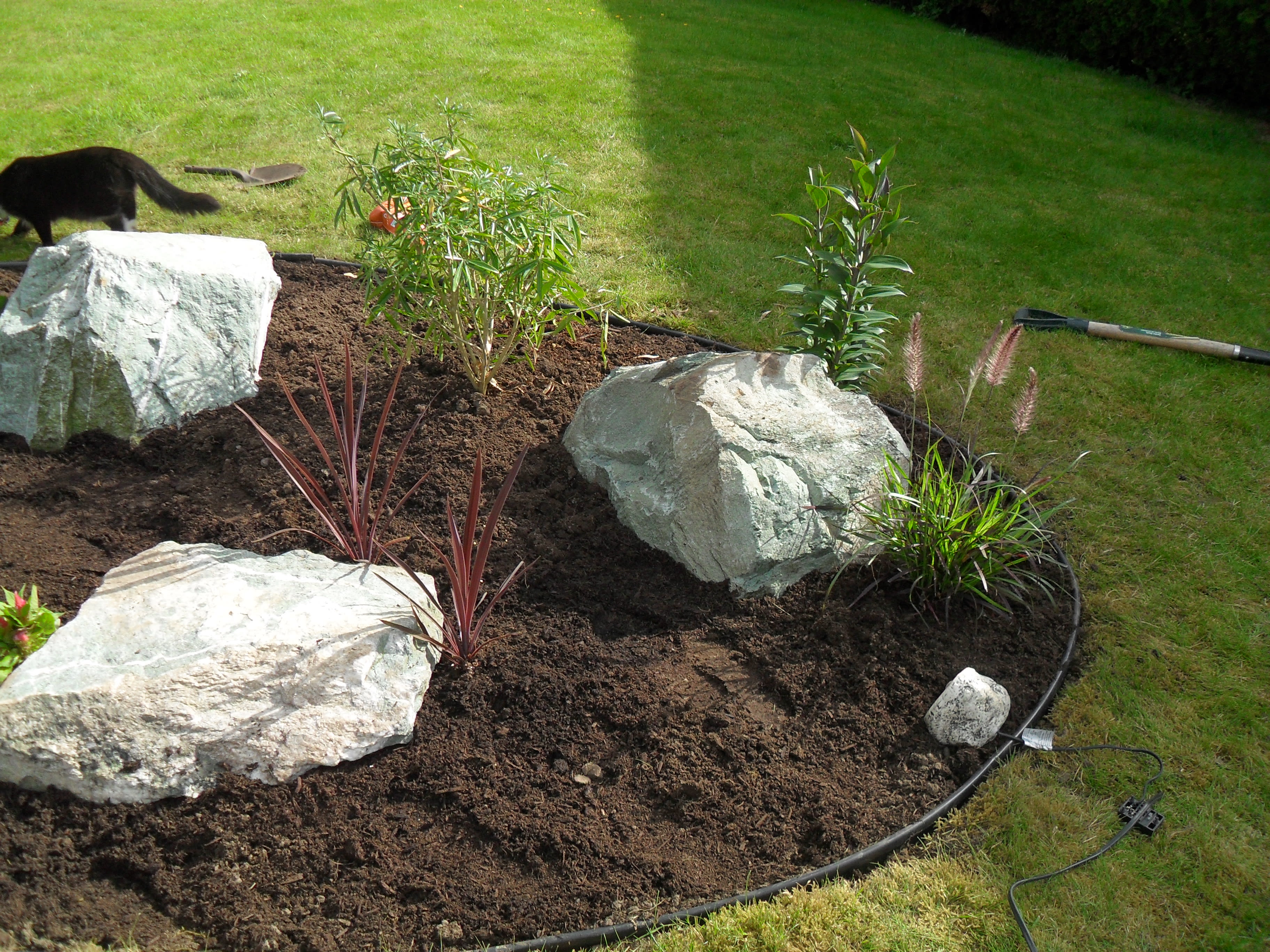 Easy DIY Landscaping: Build a Rock Garden - Dengarden