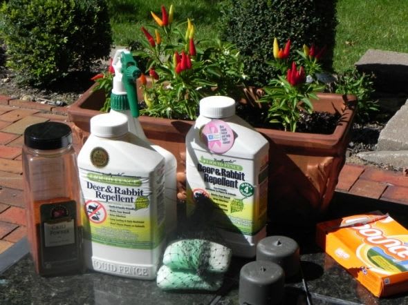 Best Homemade & Commercial Deer Deterrents for Your Garden - Dengarden