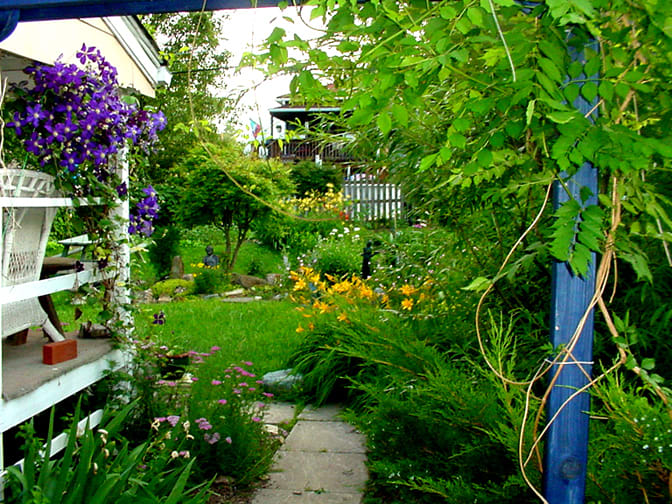 The Frugal Flower Garden: Building a Beautiful Garden for Almost ...