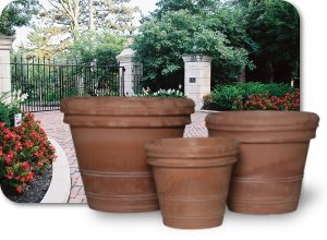 Outdoor Container Gardening: Planting a Pot of Flowers - Dengarden