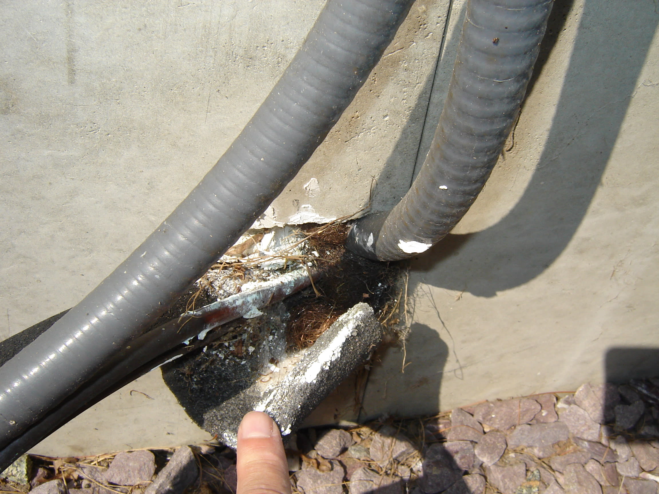 How to Keep Mice Out of Your House or Camper - Dengarden