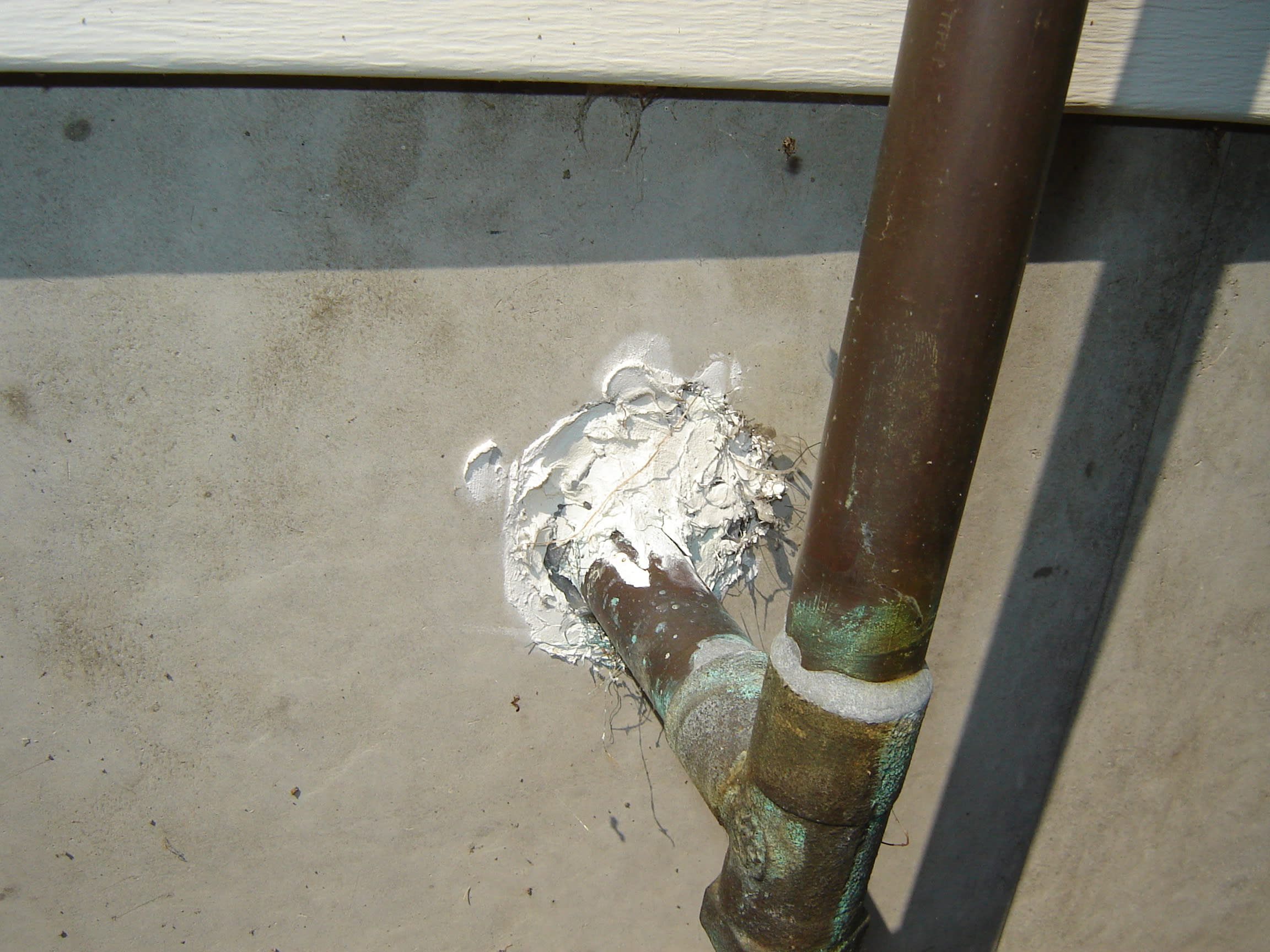 How to Keep Mice Out of Your House or Camper - Dengarden