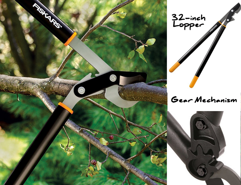 The 10 Best Manual Pole Pruners and Loppers for Tree Trimming - Dengarden