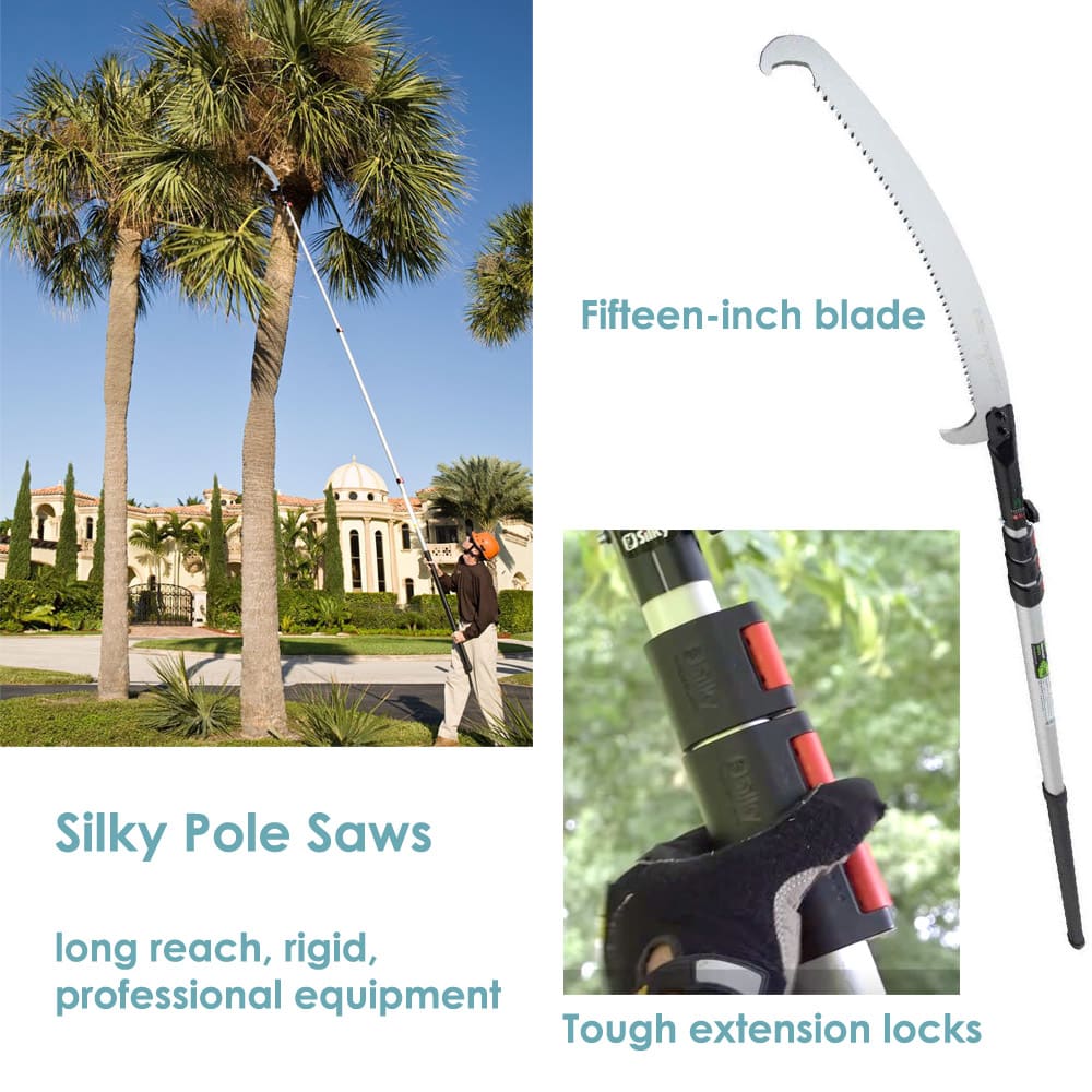 The 10 Best Manual Pole Pruners and Loppers for Tree Trimming - Dengarden