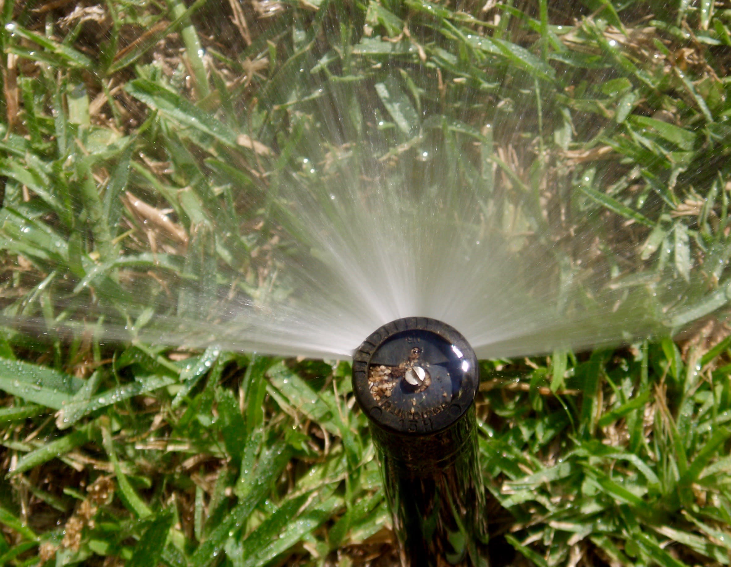 Best Sprinkler Heads for Watering Your Landscape - Dengarden