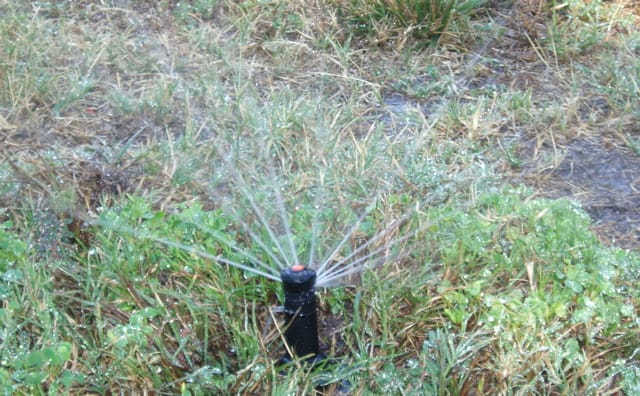 Best Sprinkler Heads for Watering Your Landscape - Dengarden