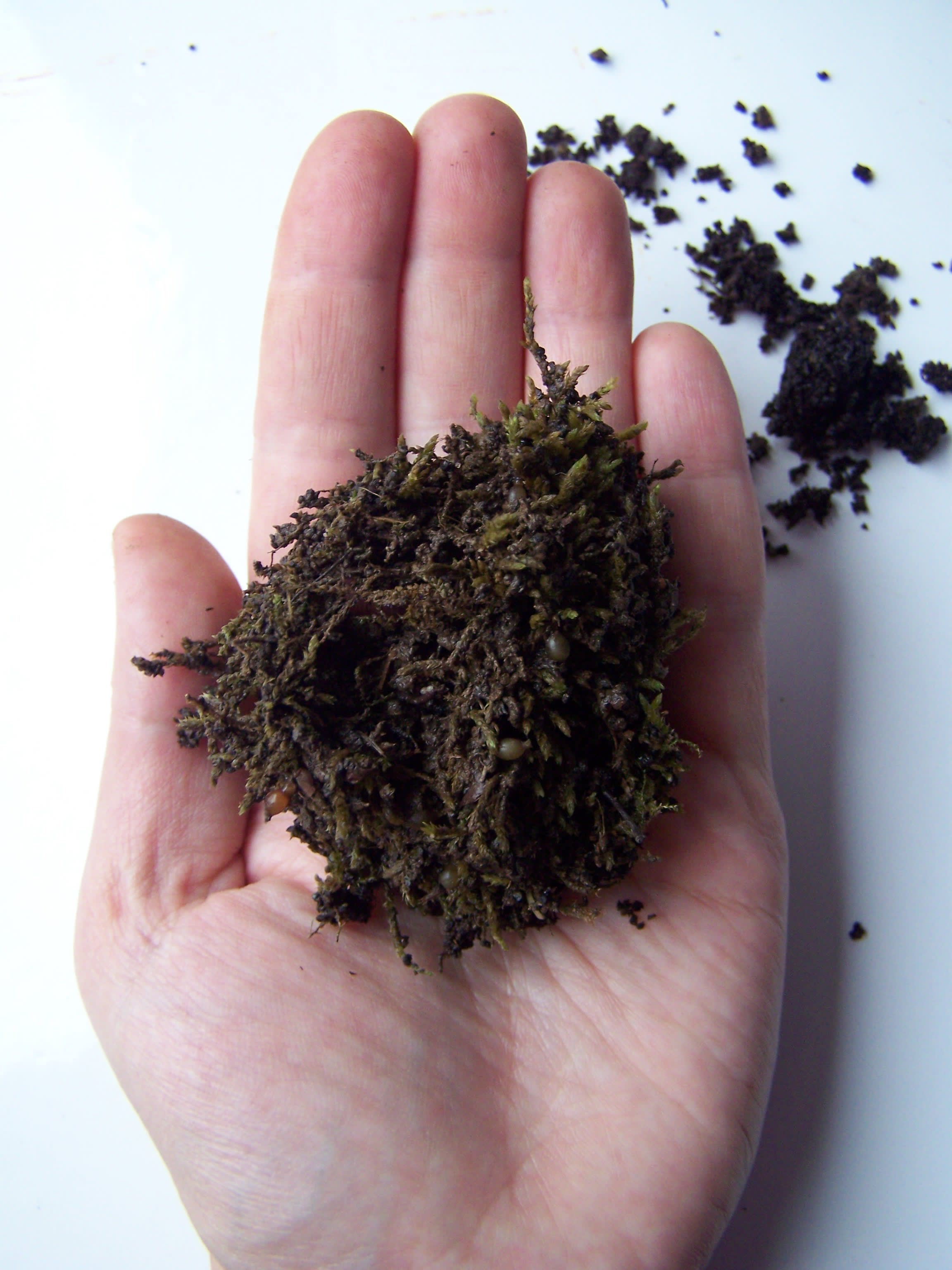 DIY Flow-Through Composter: How to Build a Coffee Can Worm Composter ...