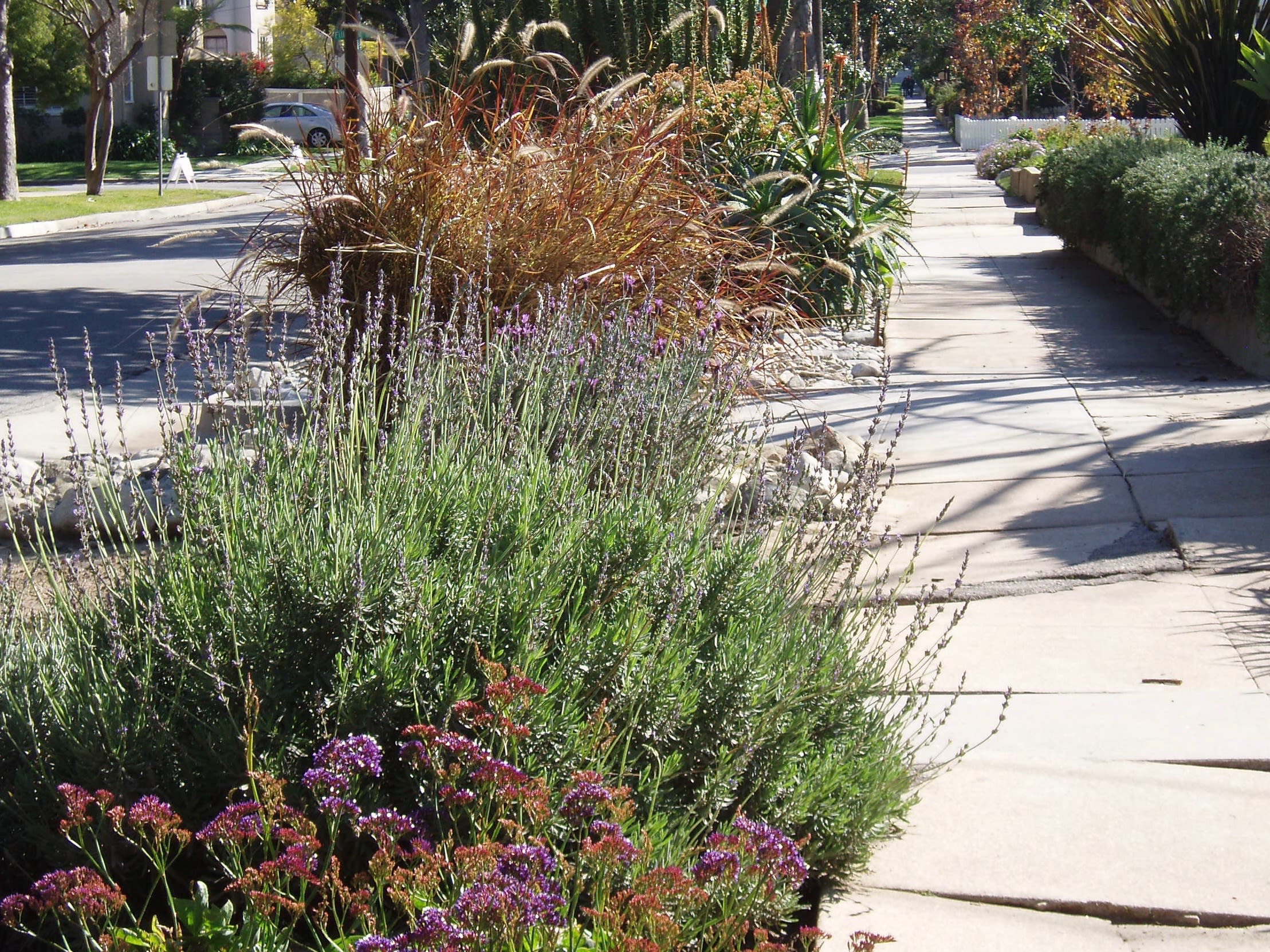 Definition and Impact of Sustainable Landscaping - Dengarden