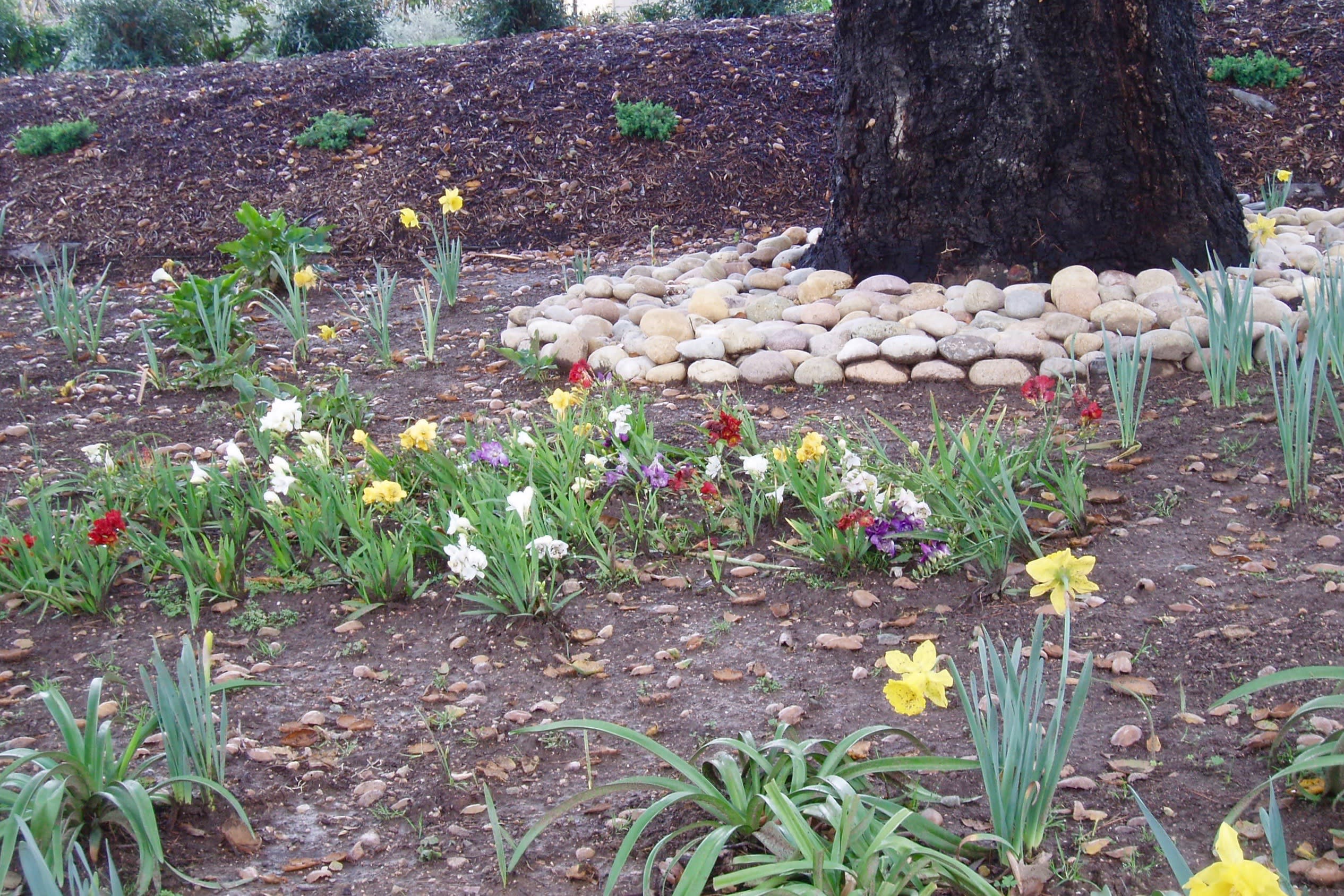 Definition and Impact of Sustainable Landscaping - Dengarden