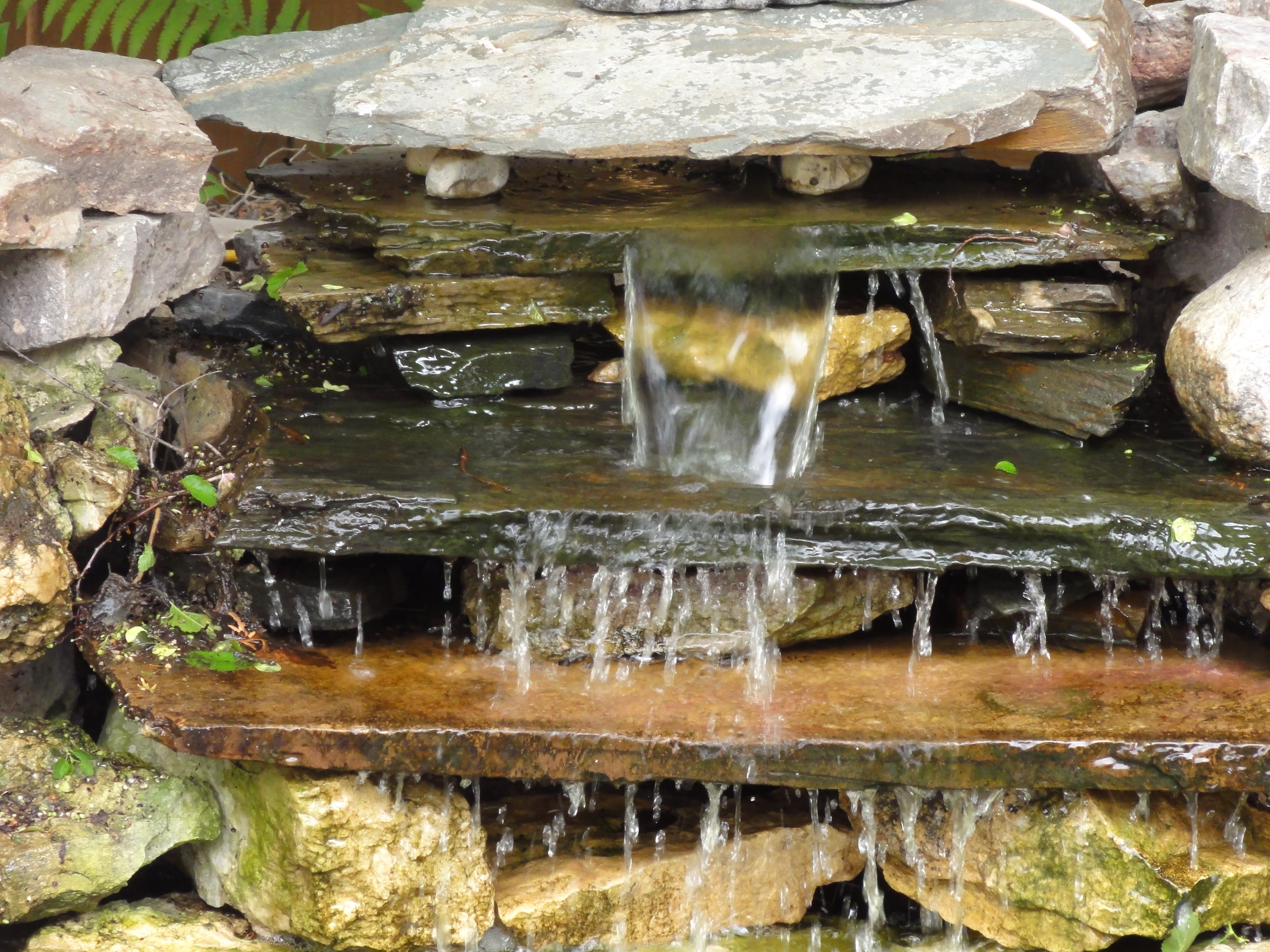 How to Build a Waterfall Meditation Pond for Your Backyard Paradise ...