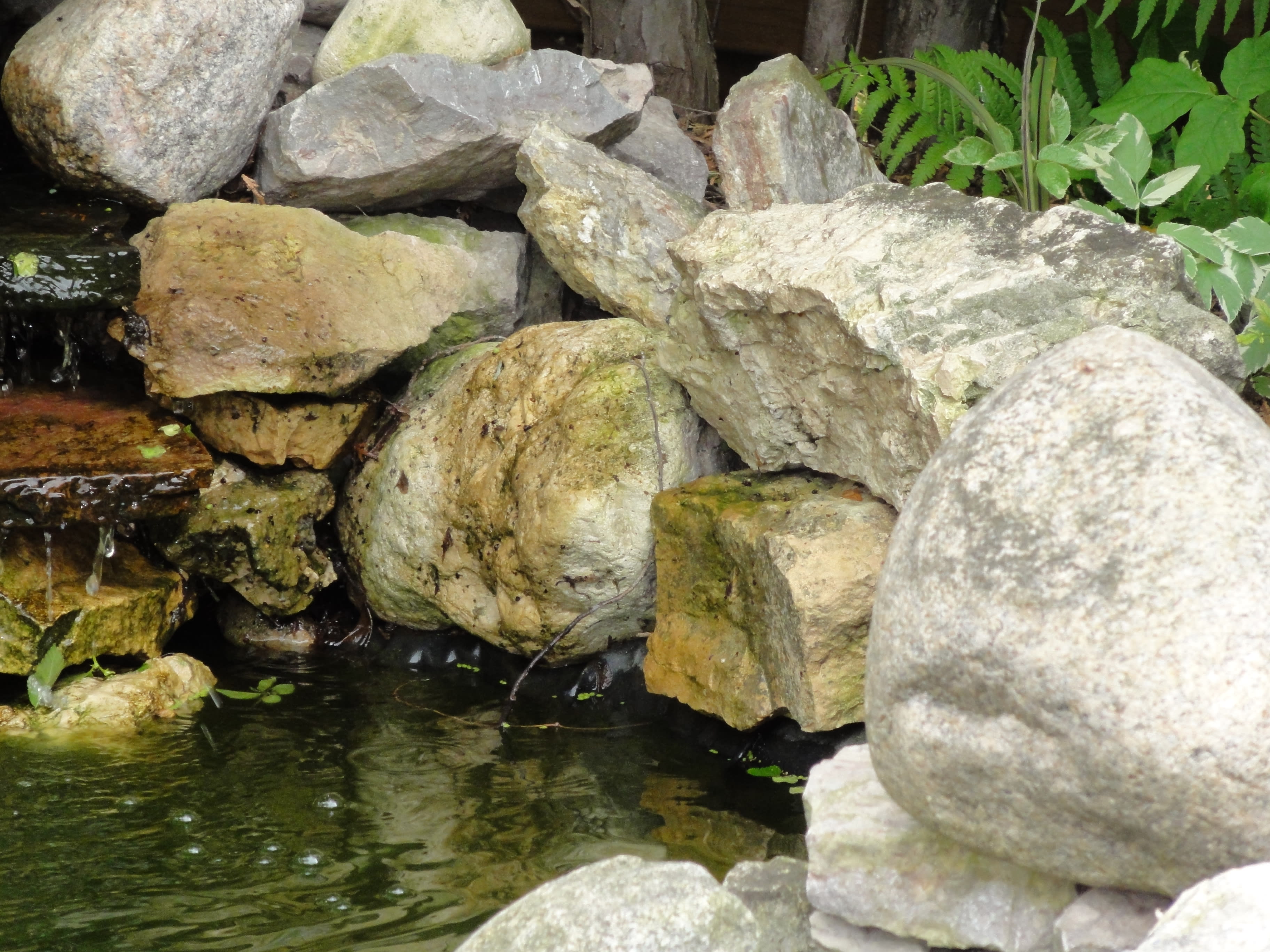 How to Build a Waterfall Meditation Pond for Your Backyard Paradise ...