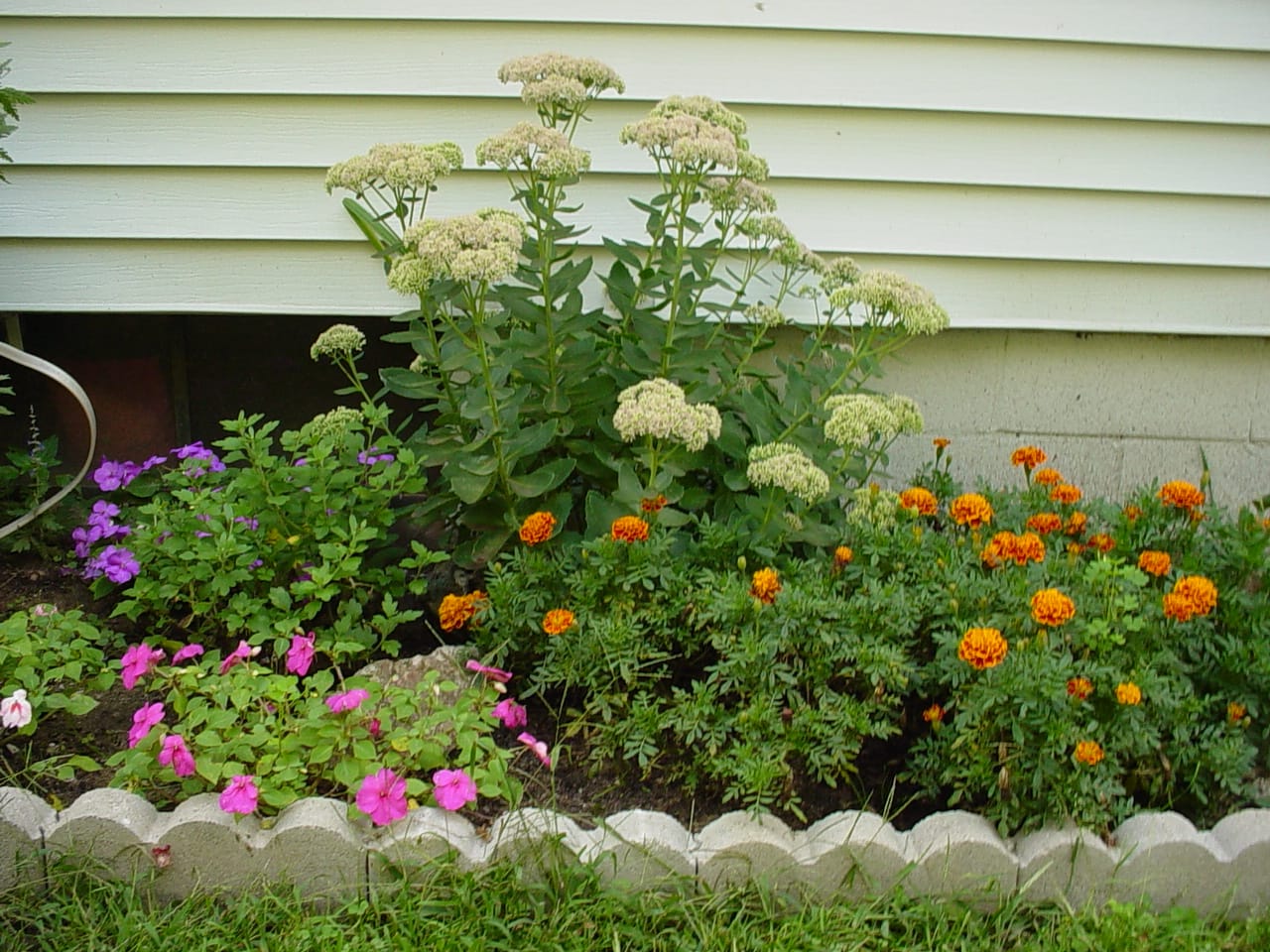 How to Garden in Sandy Soil - Dengarden