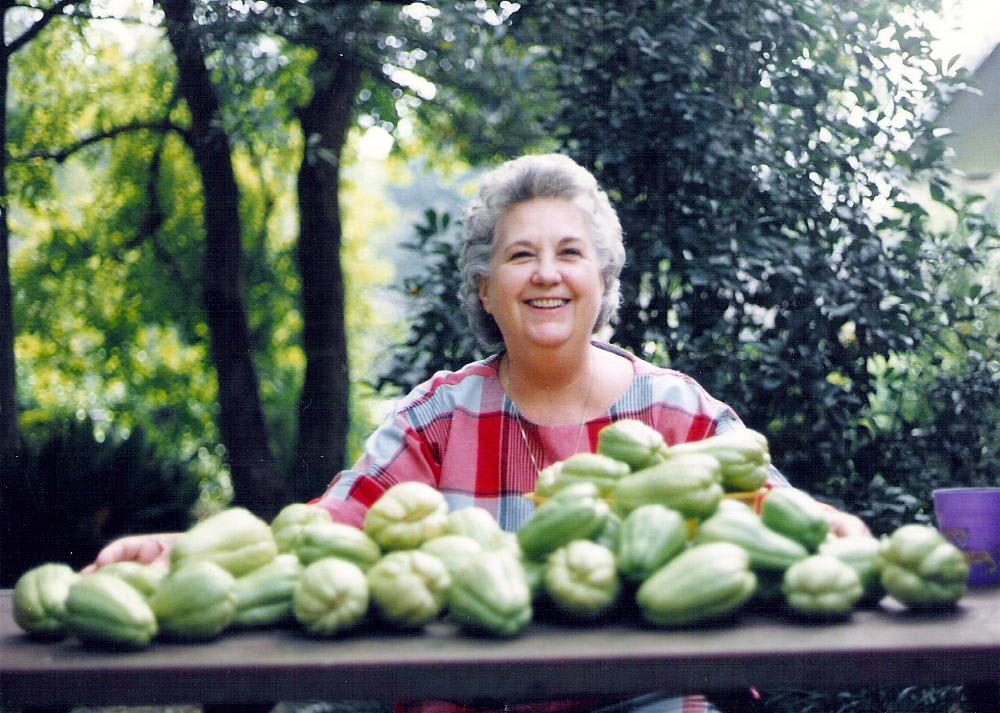 Growing Mirlitons: From Garden to Table - Dengarden