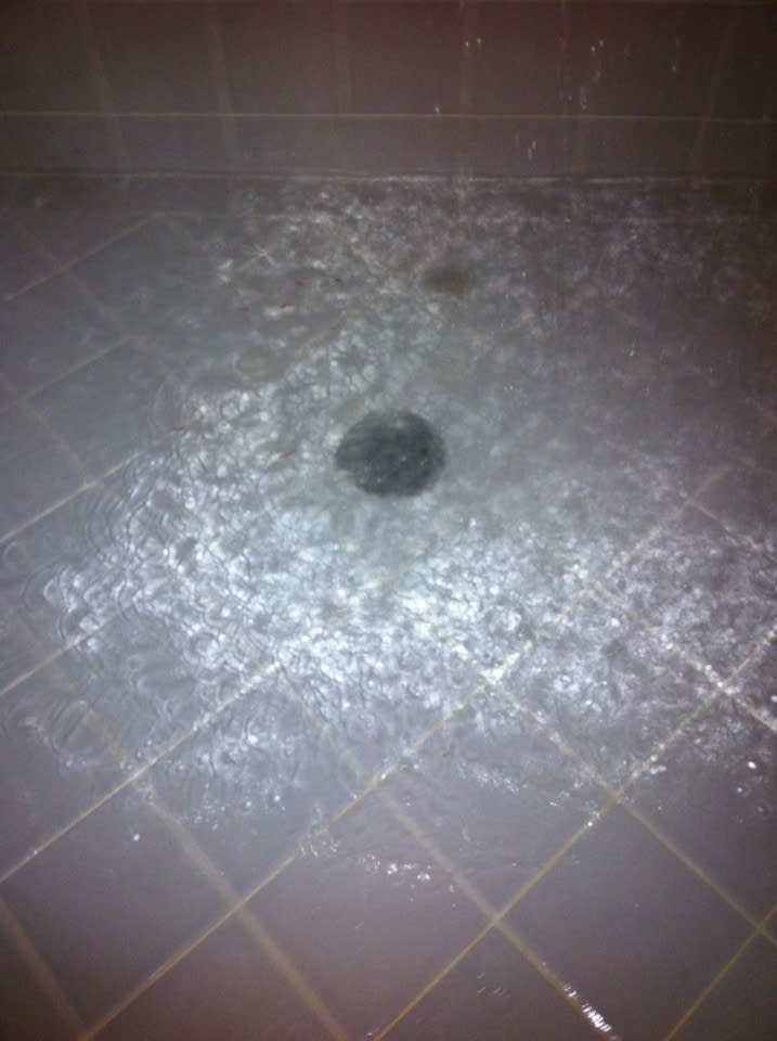 How to Unclog a Shower Drain With a Snake and Drano - Dengarden