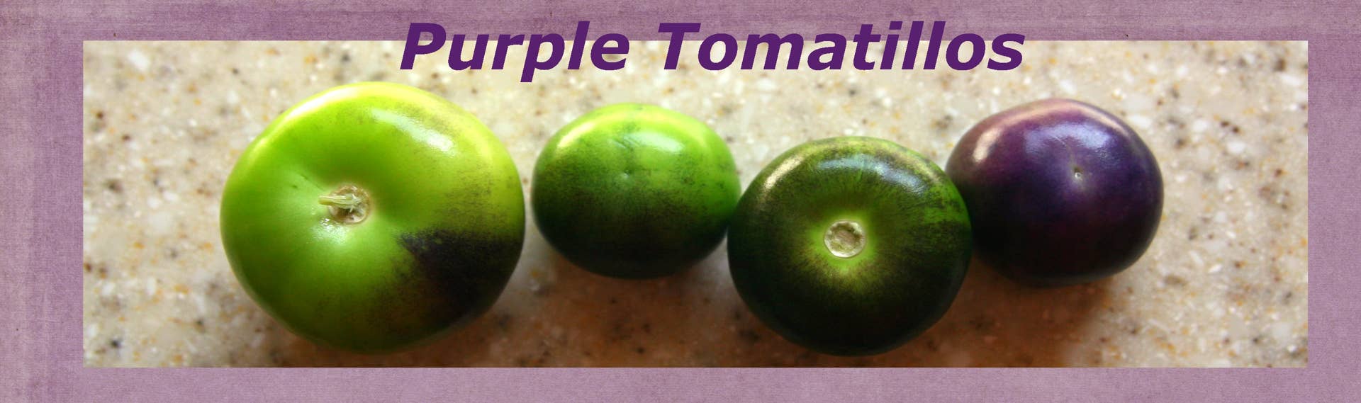 How to Grow Tomatillos From Seeds to Salsa Verde - Dengarden