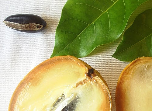 Tropical Taste of Hawaii: The Amazing Abiu Fruit - Dengarden