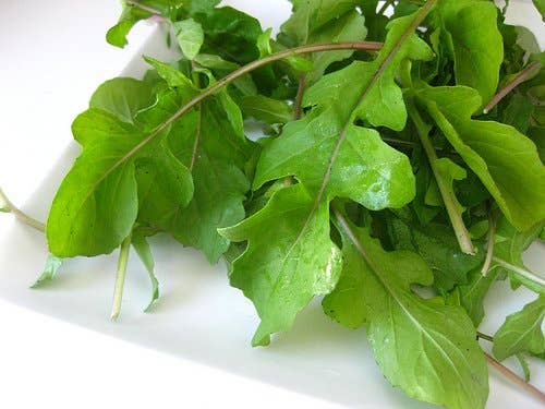 Growing Arugula in Pots and Containers: A Basic Guide - Dengarden