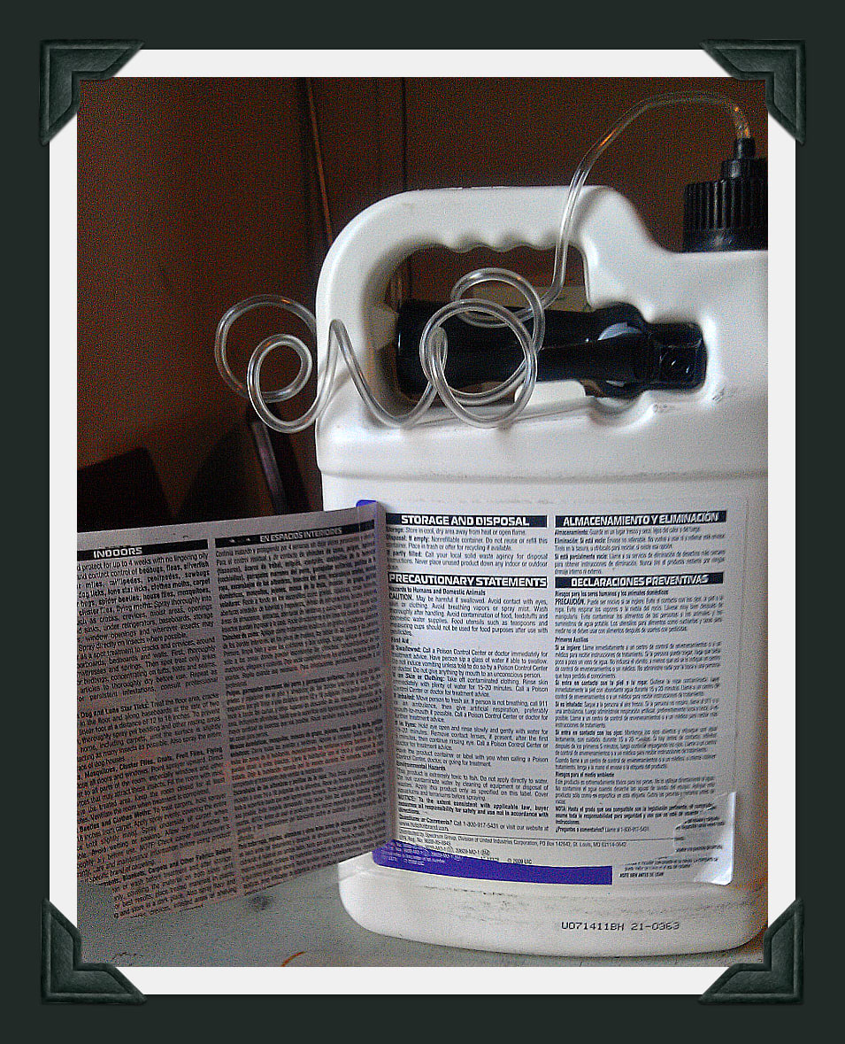 Hot Shot Bedbug and Flea Spray Review - Dengarden