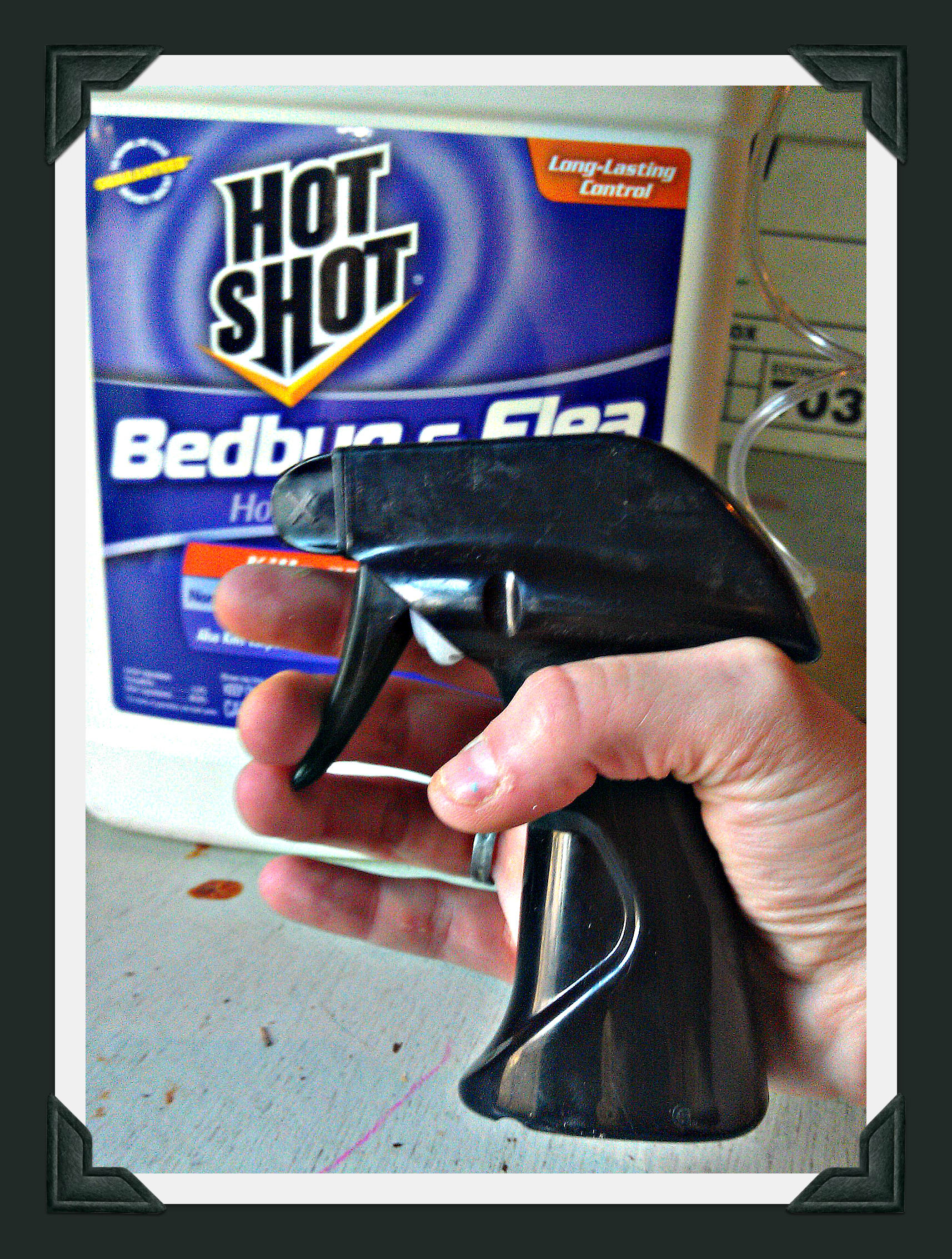 Hot Shot Bedbug and Flea Spray Review - Dengarden