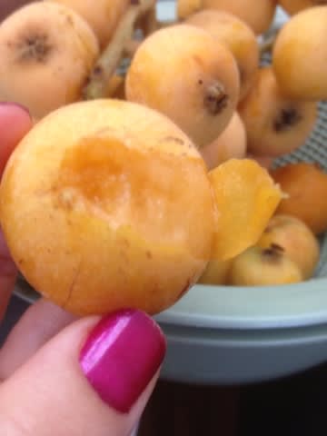 What Are the Health Benefits of Eating Loquat Fruits? - Dengarden
