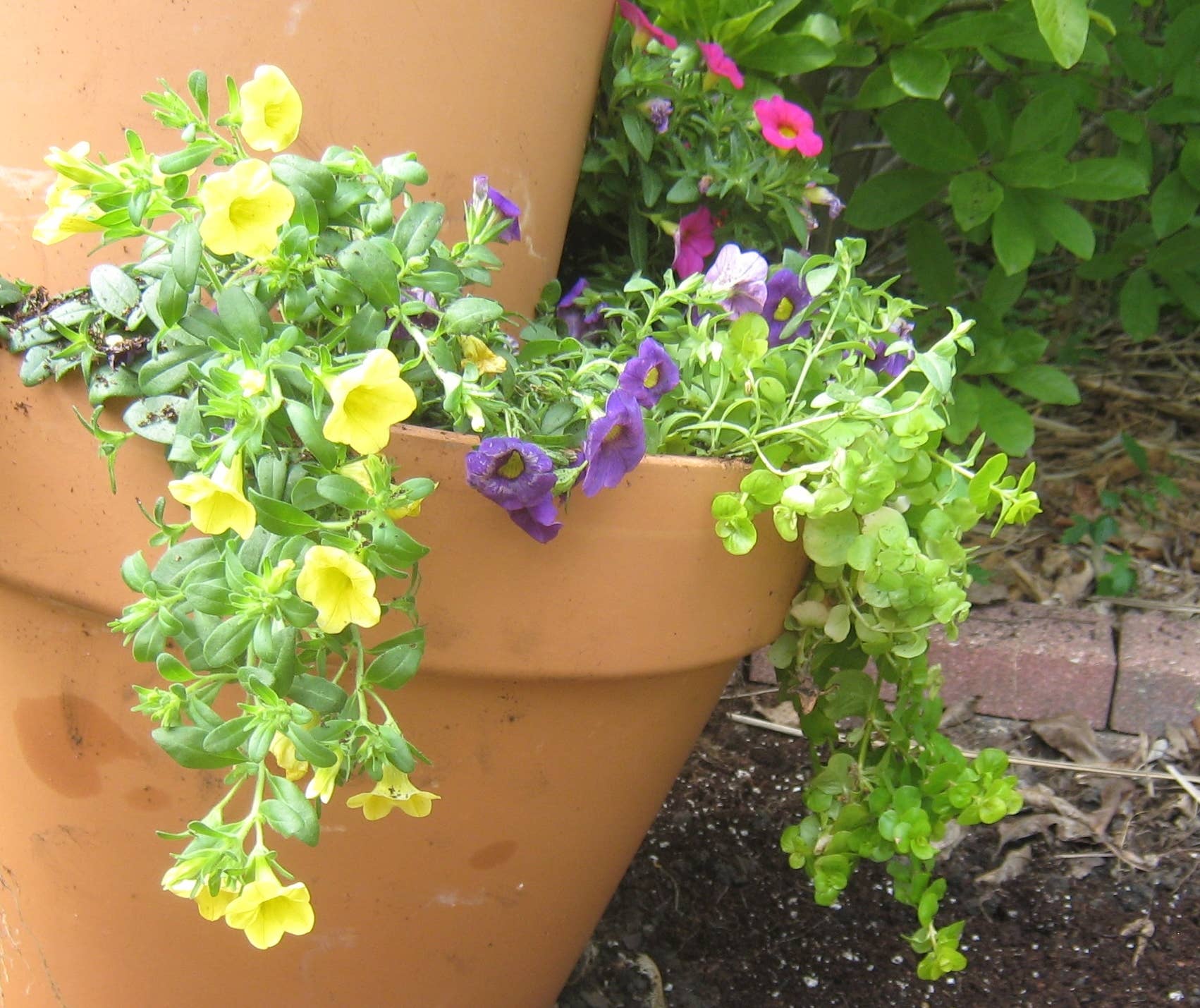 How to Make a Crooked Terra Cotta Pot Flower Tower With Annuals - Dengarden