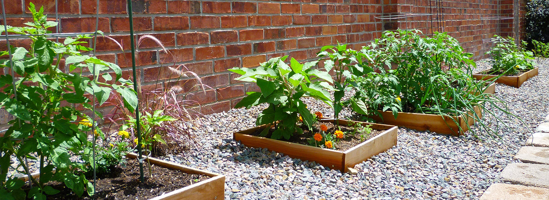 How to Brew and Use Compost Tea - Dengarden