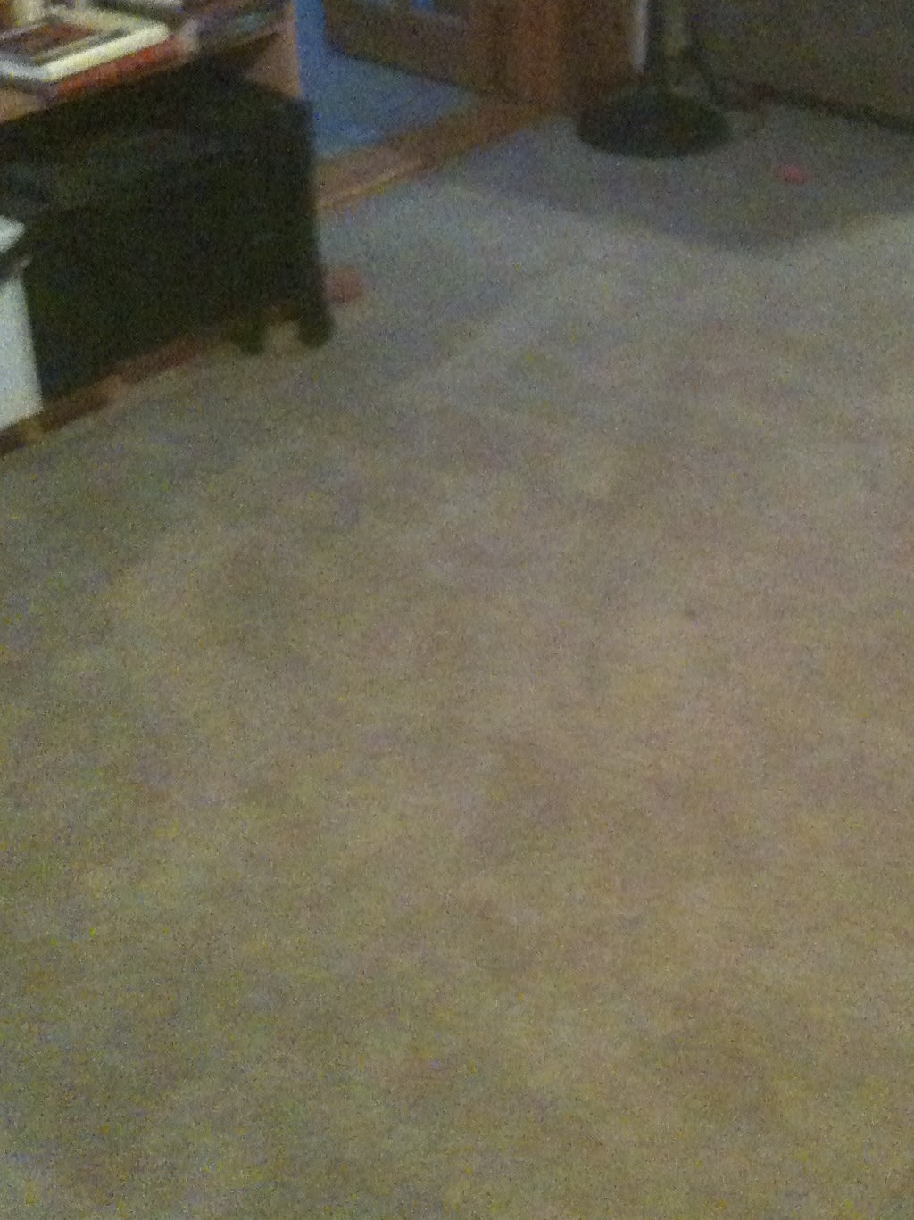 How to Use a Rug Doctor Steam Cleaner - Dengarden