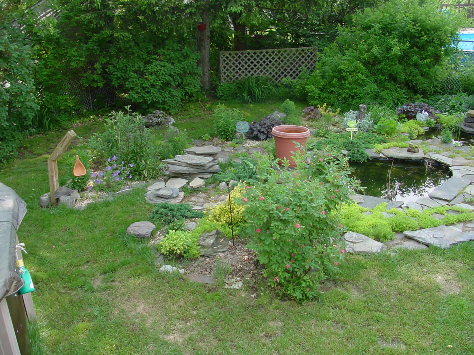 How to Make Your Own Backyard Pond - Dengarden