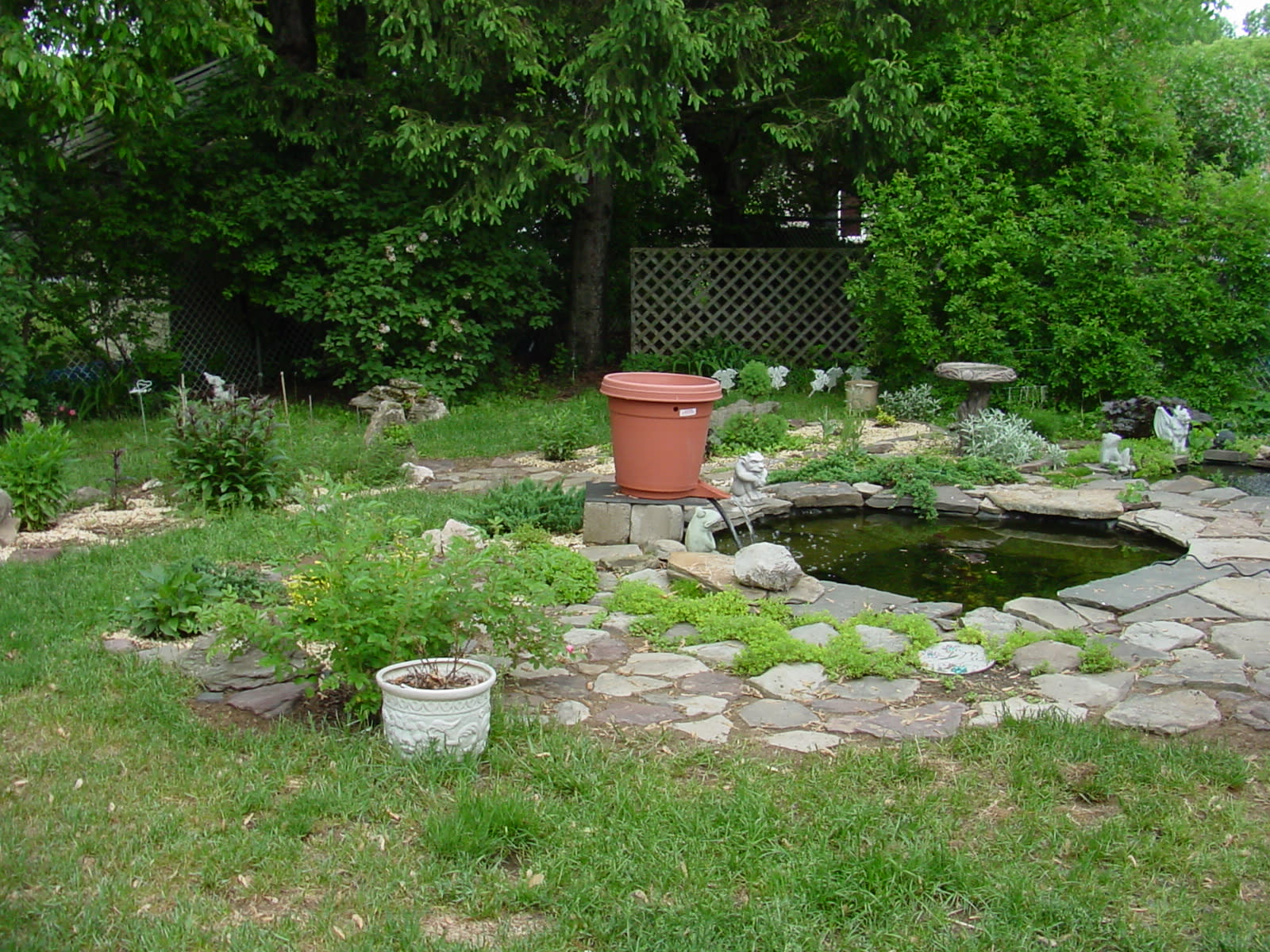 How to Make Your Own Backyard Pond - Dengarden