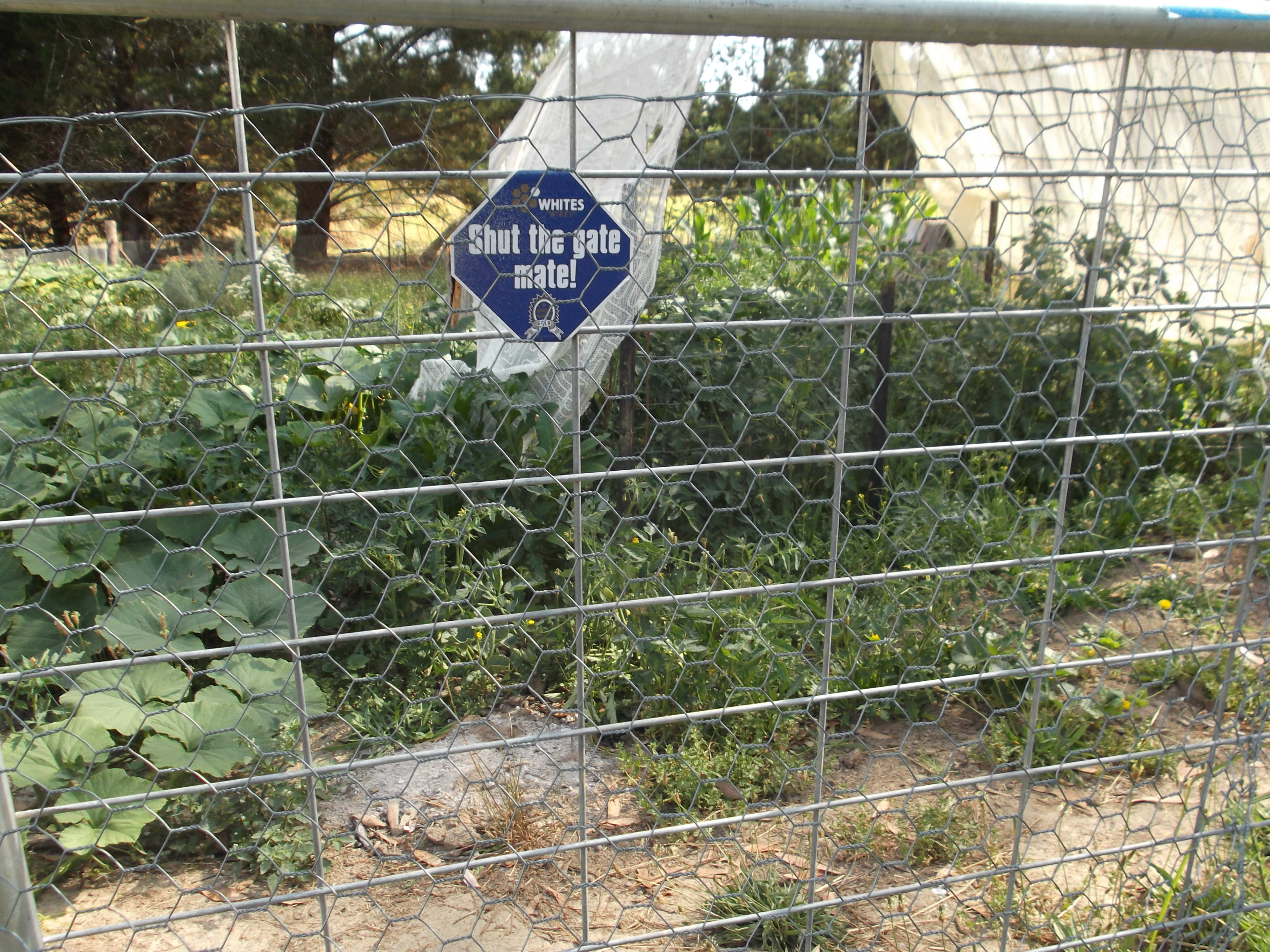 Family Successfully Living Off the Grid - Dengarden