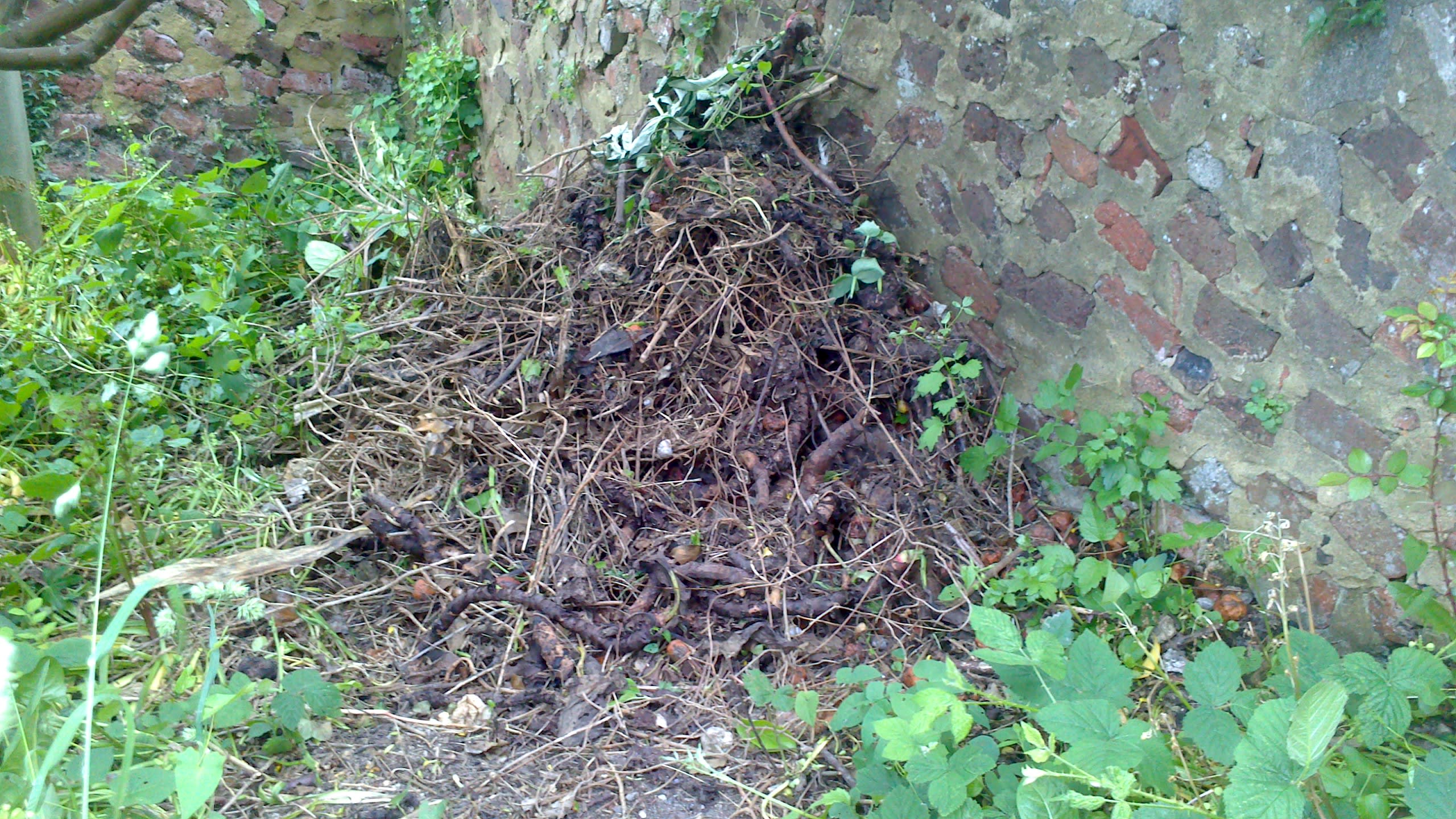 How to Fix Slimy Compost and Stop It From Turning to Sludge - Dengarden