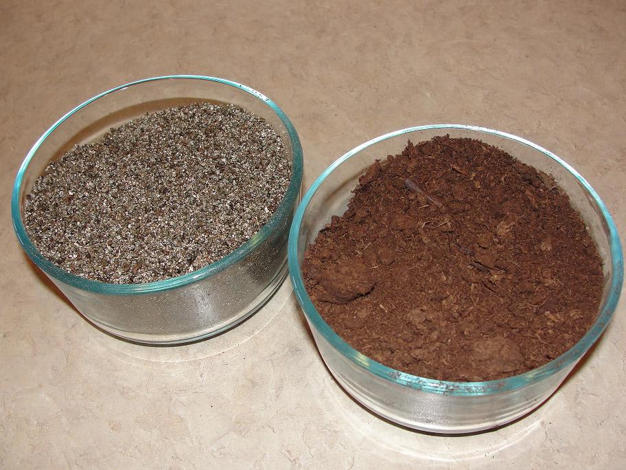 The Best Cheap Seed-Starting Supplies - Dengarden