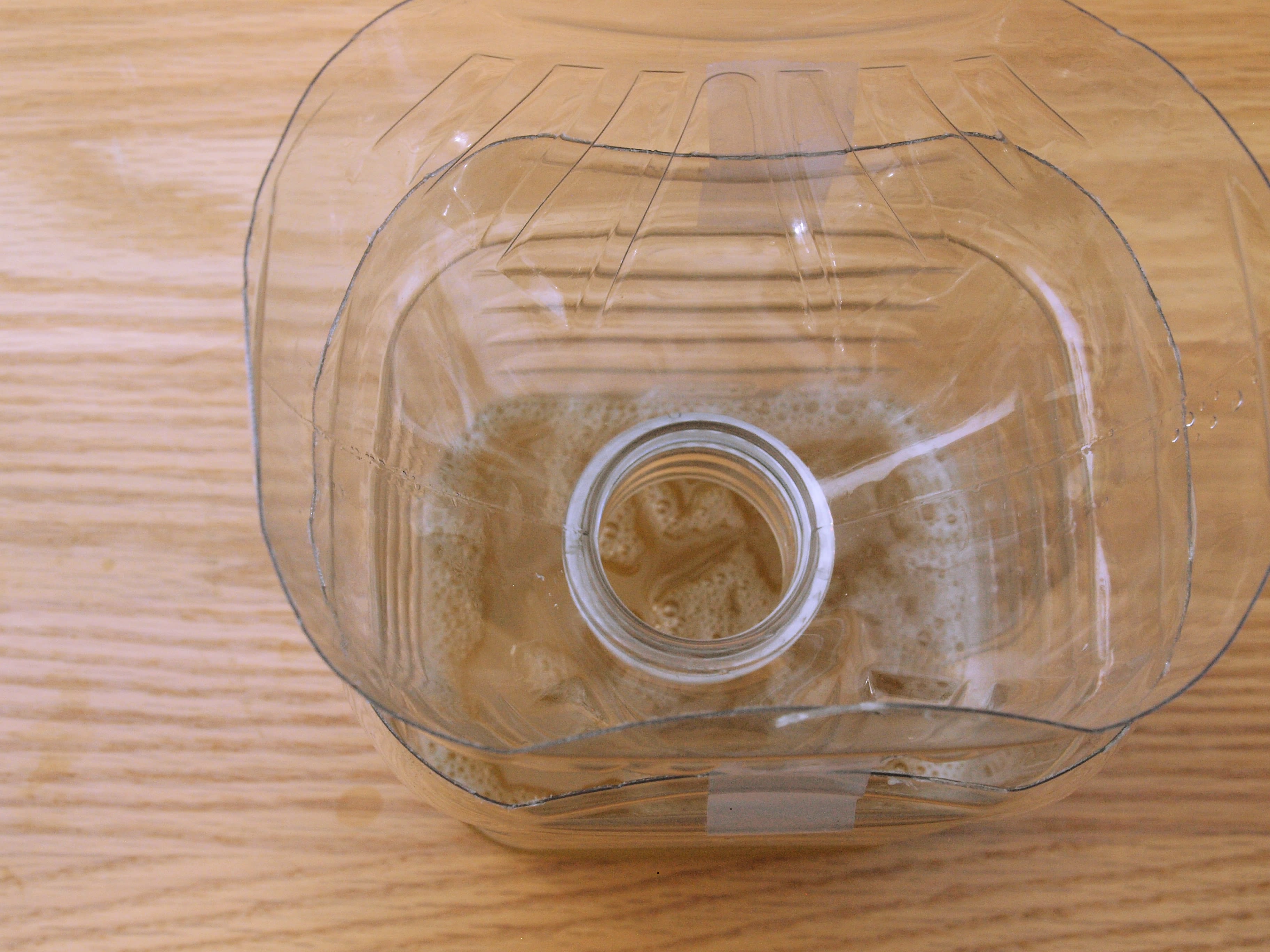 3 DIY Fly Traps to Make at Home - Dengarden