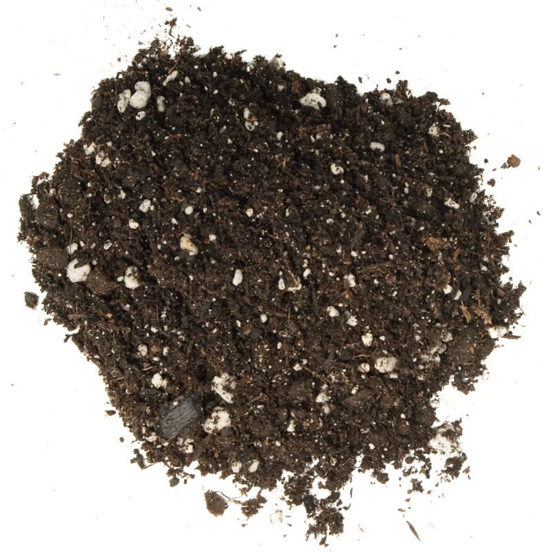 How to Mix Your Own Bonsai Soil - Dengarden
