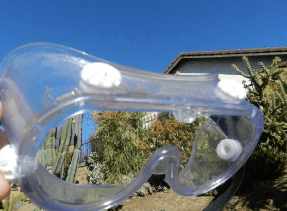 How to Care for Firestick Succulents - Dengarden