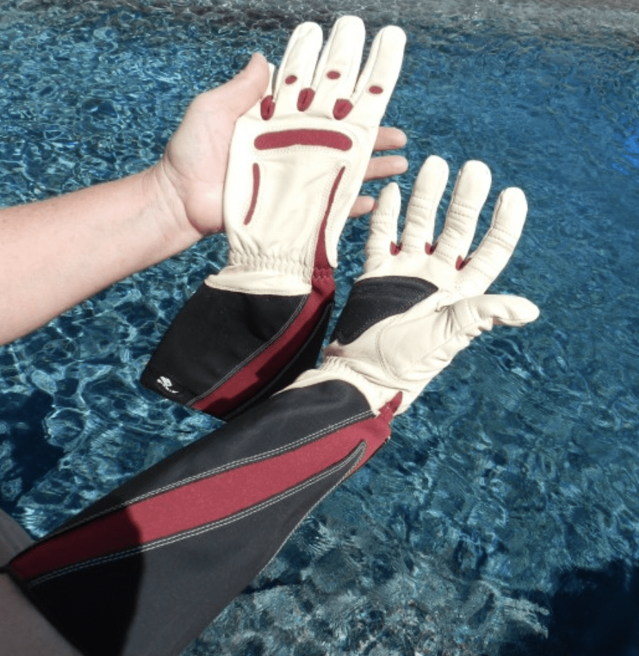 How to Care for Firestick Succulents - Dengarden