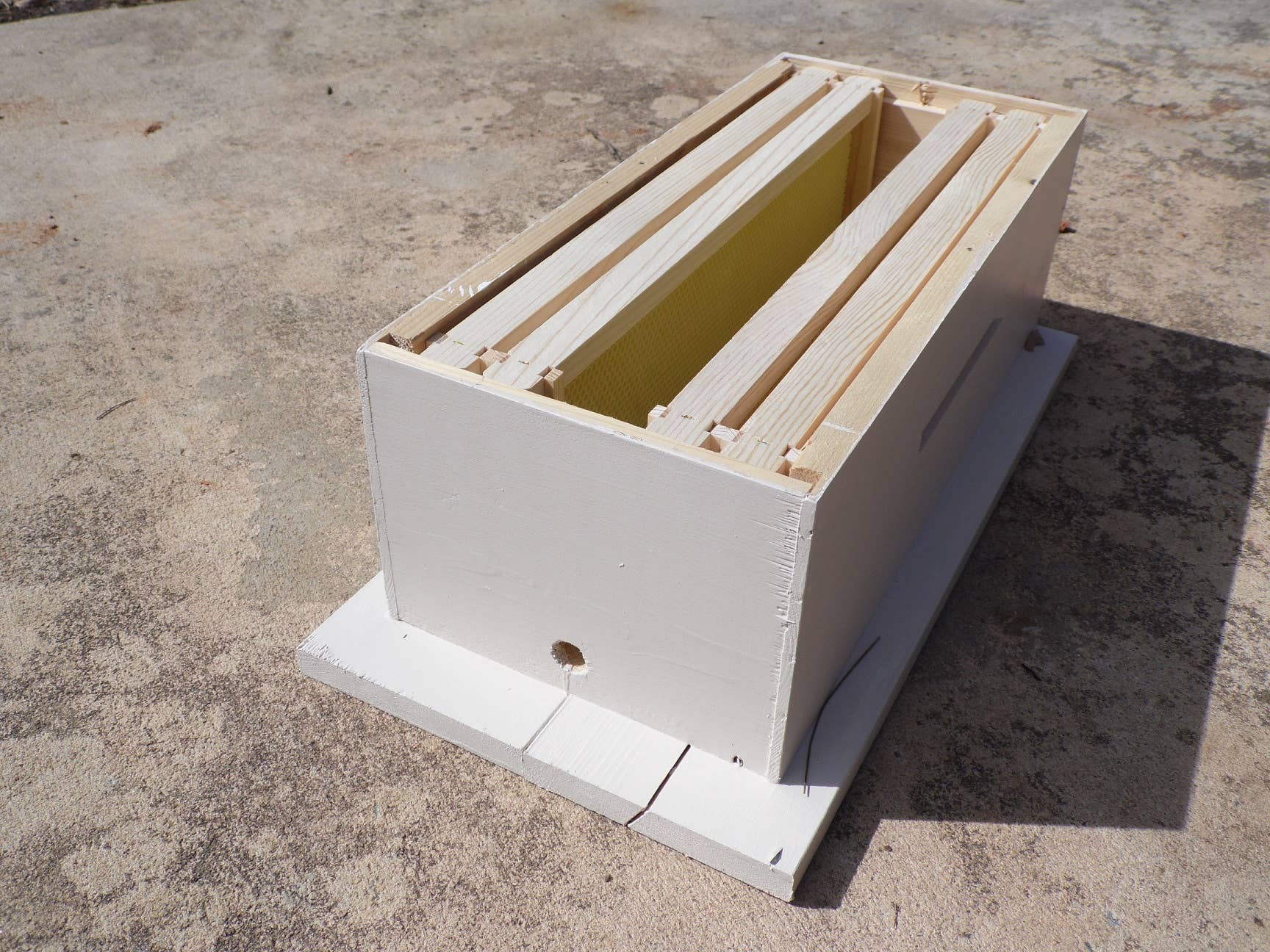 How to Set Up and Place a Swarm Trap for Honey Bees - Dengarden