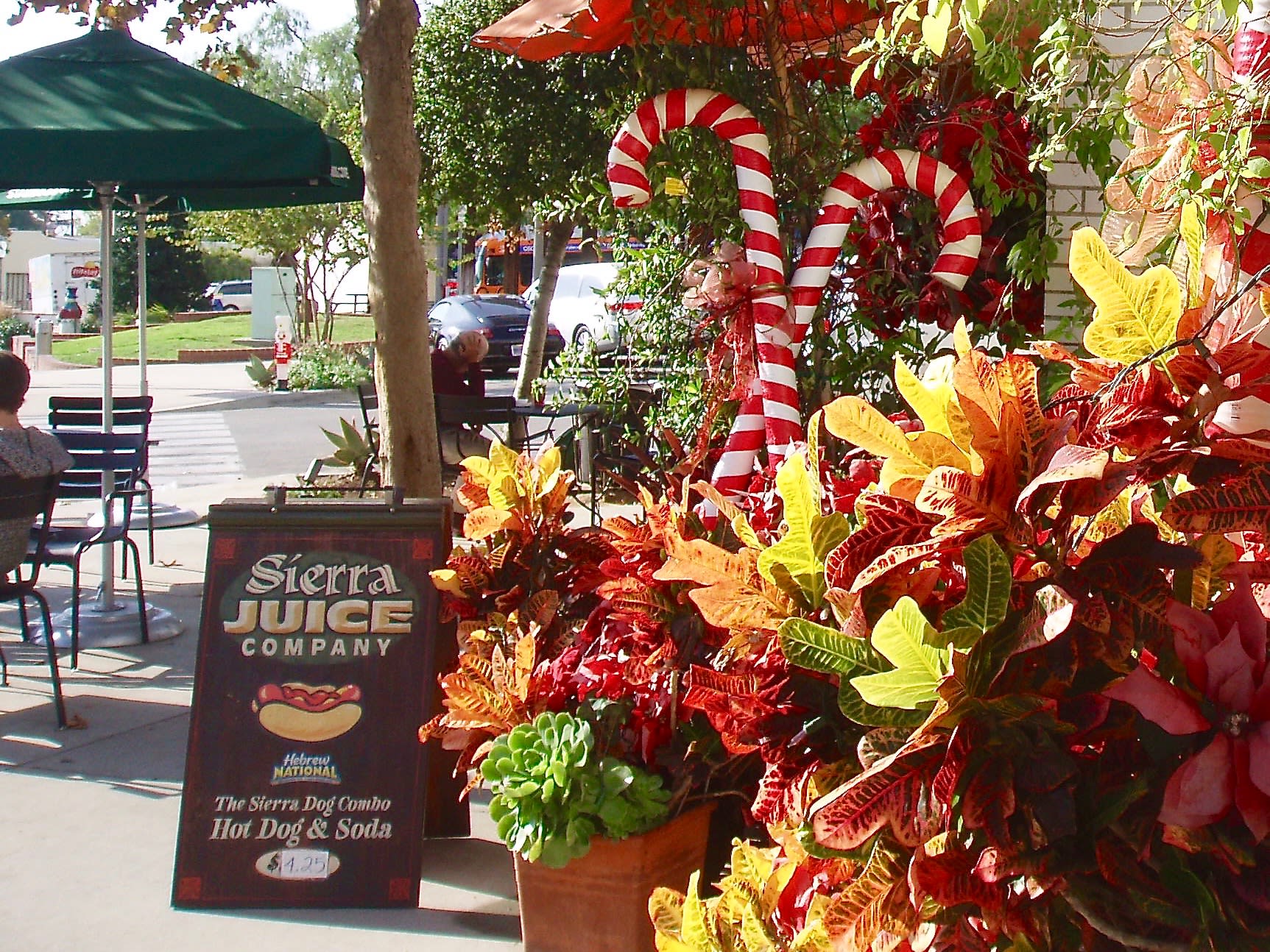 How to Live Without a Car: Tips From a Car-Free Pro - Dengarden