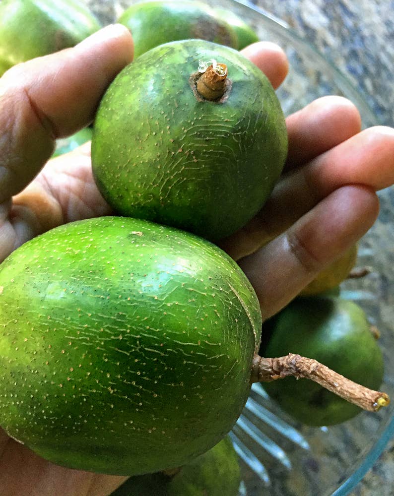 Tropical Taste of Hawaii: The Wondrous Wi Apple - Dengarden